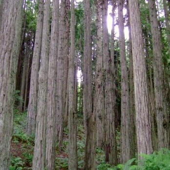 POMO CANYON ENVIRONMENTAL CAMPGROUND - Updated December 2025 - 20 ...