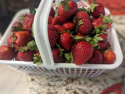 ISOM’S ORCHARD - Updated September 2025 - 56 Photos & 18 Reviews ...