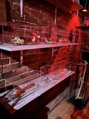 MUSEUM OF SHADOWS - Updated December 2025 - 39 Photos & 37 Reviews ...