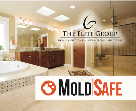 ELITE GROUP INSPECTION PROFESSIONALS - Updated October 2025 - 187 ...