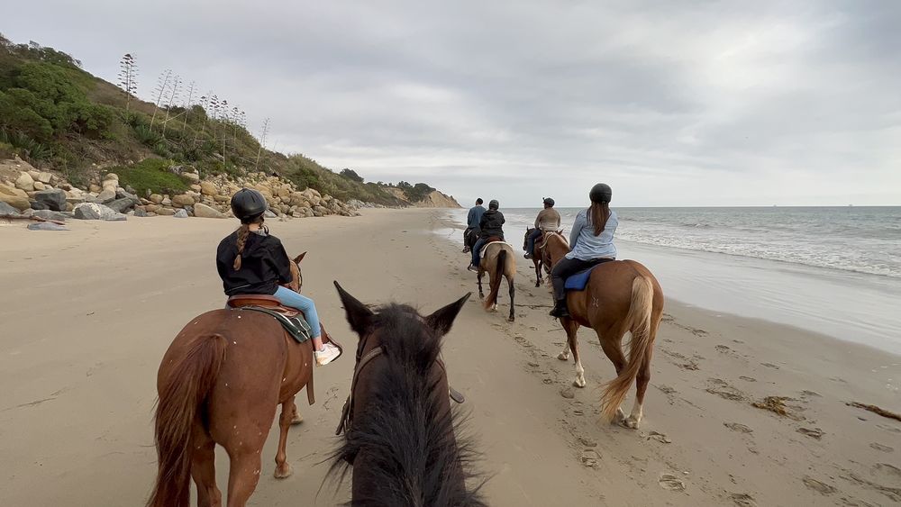 SANTA BARBARA BEACH HORSEBACK RIDES - Updated May 2026 - 123 Photos ...