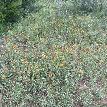 IGO LIBRARY - Updated December 2025 - 53 Photos & 26 Reviews - 13330 ...