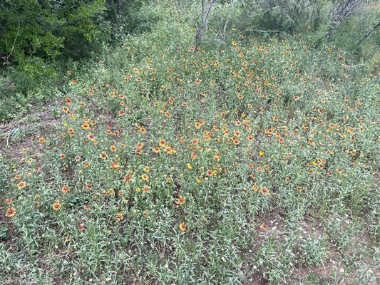 IGO LIBRARY - Updated December 2025 - 53 Photos & 26 Reviews - 13330 ...