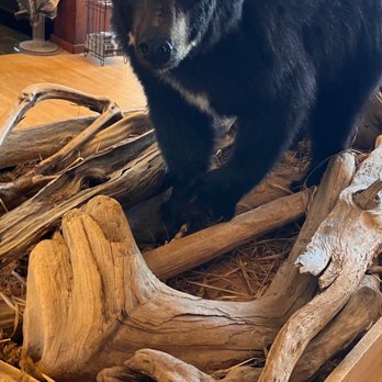 CAPE FOX LODGE - Updated September 2025 - 300 Photos & 154 Reviews ...