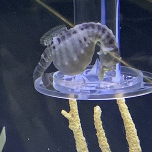 BELLE ISLE AQUARIUM - 372 Photos & 82 Reviews - 3 Inselruhe Ave ...