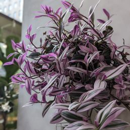 REMI43 FLOWER & COFFEE - Updated September 2025 - 427 Photos & 195 ...