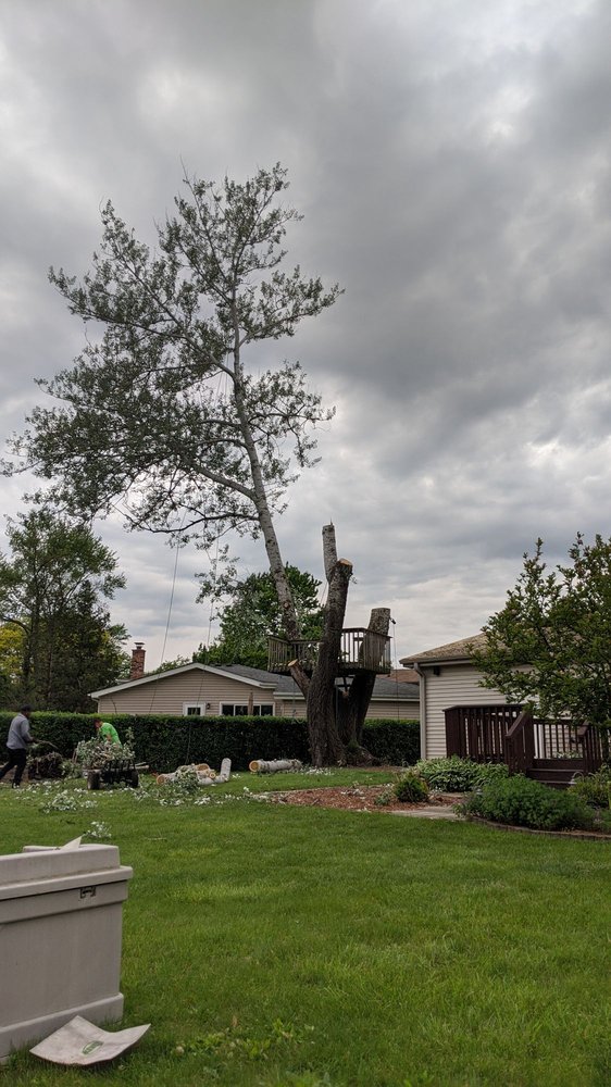 TOTAL TREE CARE - Updated August 2024 - 22 Reviews - Arlington Heights ...