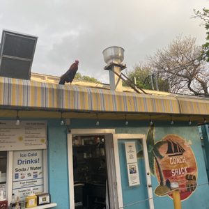 THE CONCH SHACK - 477 Photos & 447 Reviews - 118 Duval St, Key West, FL ...