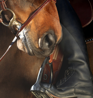 ROCKLEY EQUESTRIAN CENTRE - Updated March 2024 - Rockley Lane, Barnsley ...