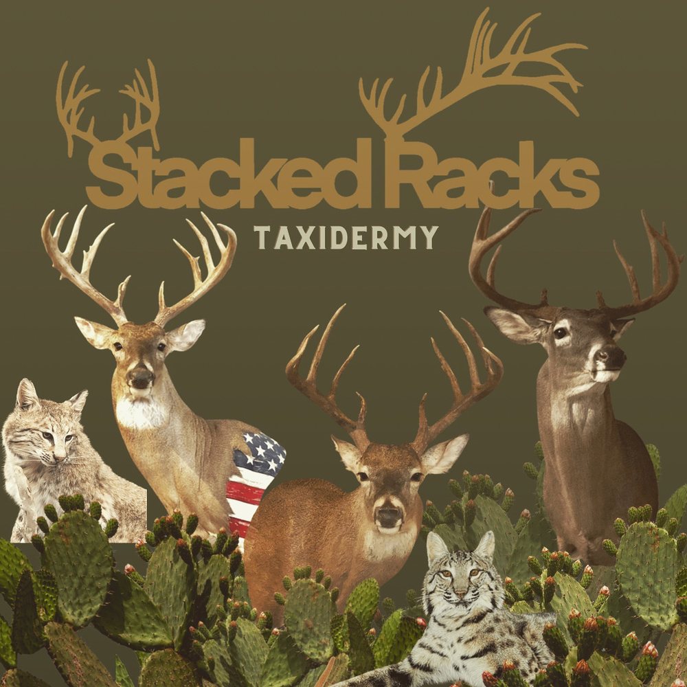 STACKED RACKS - Updated June 2024 - 9650 US Hwy 281 N, Spring Branch ...