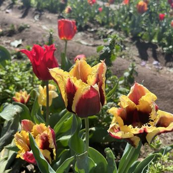 DUTCH HOLLOW FARMS - Updated January 2026 - 238 Photos & 116 Reviews ...