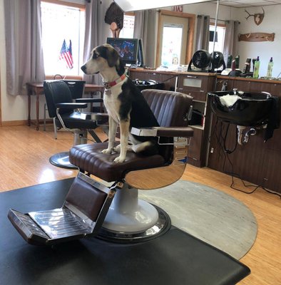 KATHY’S BARBER SHOP - Updated June 2025 - 221 N Main St, Seymour ...