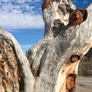 STOKES MARKET - Updated December 2025 - 19 Photos - 217 S State St ...