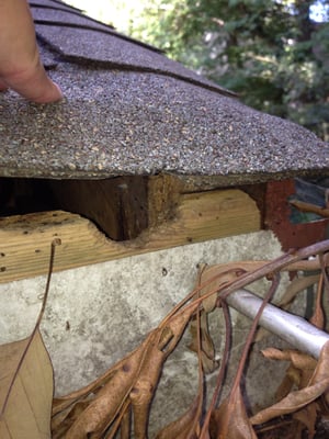 MAYDAY PEST CONTROL - Updated January 2026 - 17 Photos & 39 Reviews ...