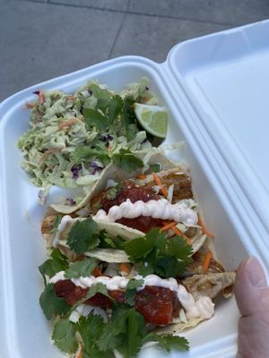ST PETE TACO LADY - Updated August 2025 - 18 Photos & 19 Reviews - 5507 ...