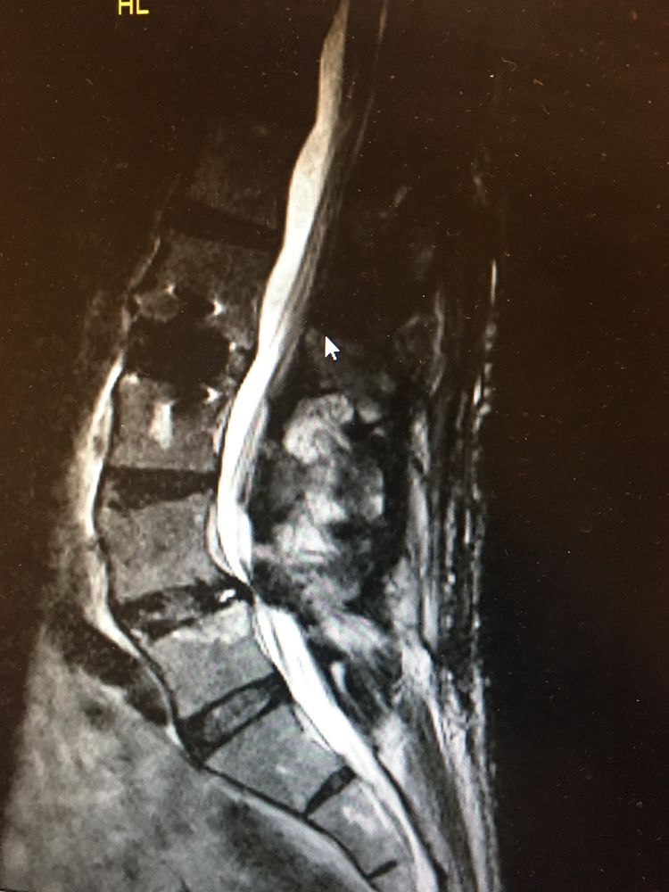 KAPLAN STUART S MD - Updated October 2025 - 3061 S Maryland Pkwy, Las ...