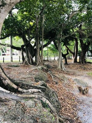 SCHENLEY PARK - Updated December 2025 - 15 Photos - 2750 SW 57th Ave ...