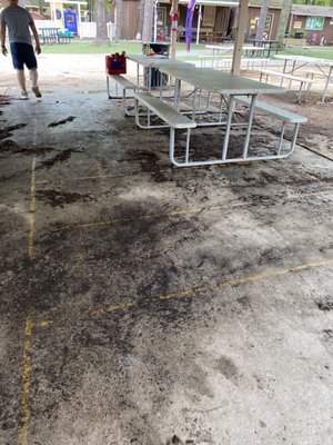 TIMBERLAND LAKE CAMPGROUND - Updated May 2024 - 37 Photos & 19 Reviews ...