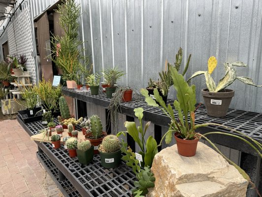 FOSSIL CREEK NURSERY - Updated January 2026 - 38 Photos & 19 Reviews ...