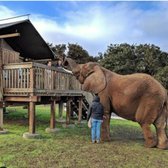 Vision Quest Ranch - 766 Photos & 271 Reviews - Bed & Breakfast - 400 ...