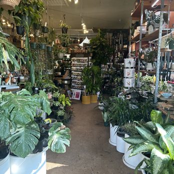 TANGLETOWN GARDENS - Updated December 2025 - 39 Photos & 37 Reviews ...