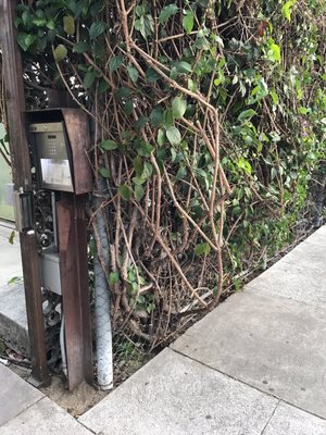 LACY STUDIO LOFTS - 59 Photos & 16 Reviews - Apartments - 2684 Lacy St ...