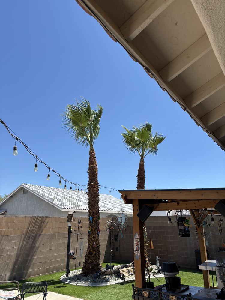 NEXT LEVEL LANDSCAPE & TREE CARE - Updated December 2025 - 57 Photos ...