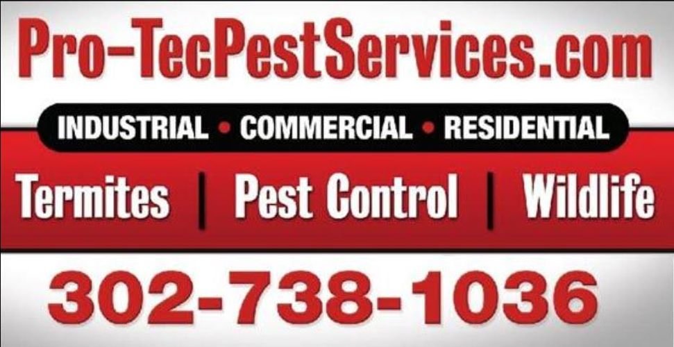 PRO-TEC PEST SERVICES - Updated October 2025 - 5921 W Denneys Rd, Dover, Delaware - Pest Control ...
