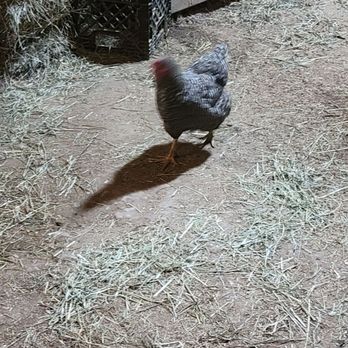 NATURAL VALLEY RANCH - Updated November 2025 - 40 Photos & 21 Reviews ...