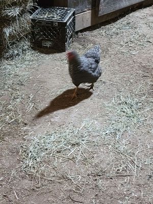 NATURAL VALLEY RANCH - Updated September 2024 - 34 Photos & 17 Reviews ...