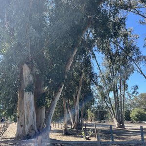 SANTA MARIA VALLEY MULTI-PURPOSE TRAIL - Updated April 2025 - 803 ...