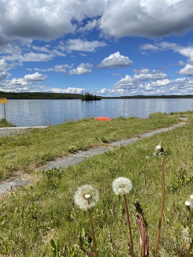 TOLSONA LAKE RESORT - Updated June 2024 - 20 Photos - Mile 170 Glenn ...