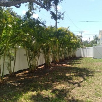 TREE AND PALM SERVICE - Updated January 2026 - 37 Photos & 10 Reviews ...