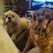 SUMMIT VETERINARY REFERRAL CENTER - 36 Photos & 223 Reviews - 2505 S 80th St, Tacoma, WA - Yelp