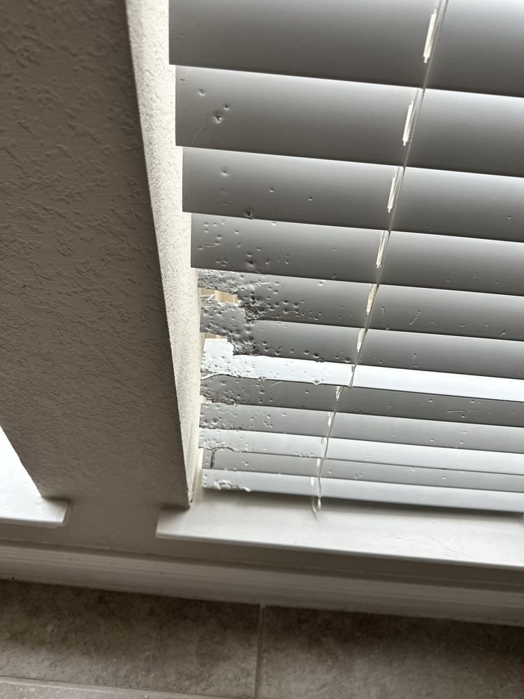 BLOOMIN’ BLINDS OF AUSTIN - Updated December 2025 - 13 Photos & 59 ...