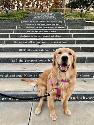 CELESTIAL PARK - 24 Photos & 28 Reviews - 5501 Celestial Rd, Addison ...