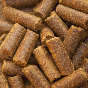 SOMO FARM & RANCH SUPPLY - Updated July 2025 - 43 Photos - 2850 W ...