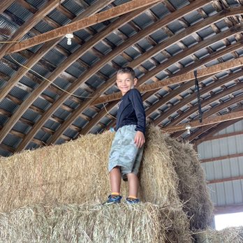 NICKAJACK FARMS - Updated December 2025 - 65 Photos & 24 Reviews - 2955 ...