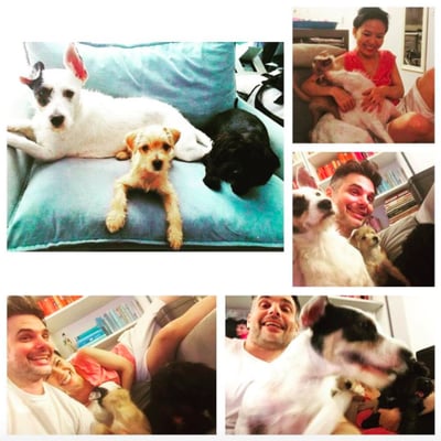 SOCIAL TEES ANIMAL RESCUE - Updated October 2025 - 64 Photos & 170 ...