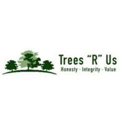 TREES R US - Updated December 2025 - 10 Photos & 16 Reviews - Tucson ...