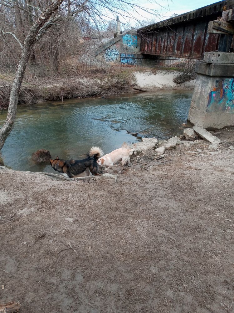 JACKSON PARK DOG PARK - Updated October 2025 - 708 Glover St ...