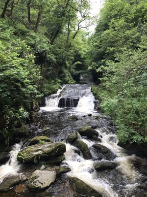 WATERSMEET NATIONAL TRUST TEA ROOM - 10 Photos - Watersmeet Road ...
