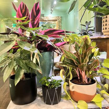 THE GROUND RITTENHOUSE - Updated April 2025 - 130 Photos & 46 Reviews ...