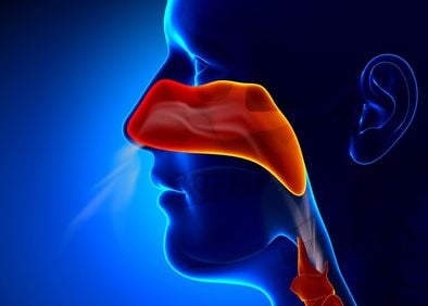 CHESAPEAKE EAR NOSE & THROAT - Updated July 2025 - 12 Photos - 5233 ...