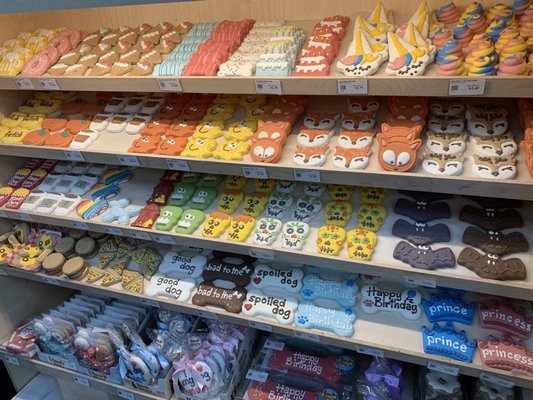 HOMES ALIVE PET CENTRE - Updated March 2025 - 56 Photos & 32 Reviews ...