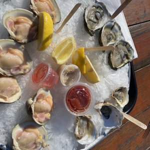SOUTHOLD FISH MARKET - 281 Photos & 196 Reviews - 64755 Rt 25, Southold ...