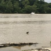 GRIGGS RESERVOIR PARK - 78 Photos & 26 Reviews - Parks - 2933 Riverside ...