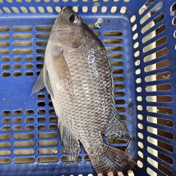 ALI’I AGRICULTURAL FARMS - Updated May 2025 - 530 Photos & 133 Reviews ...