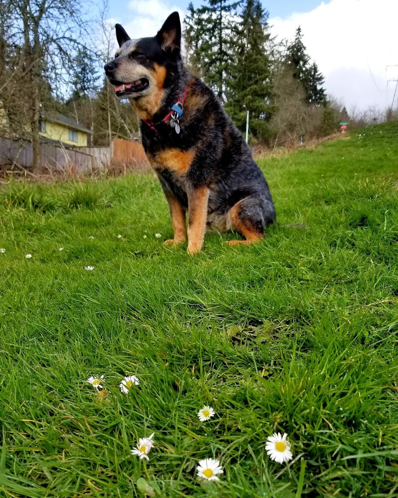 LOWAMI HART WOODS NATURAL AREA - 21 Photos - 14895 SW Hart Rd ...