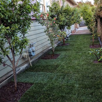 RAFAEL LANDSCAPING SERVICES - Updated October 2025 - 101 Photos & 29 ...